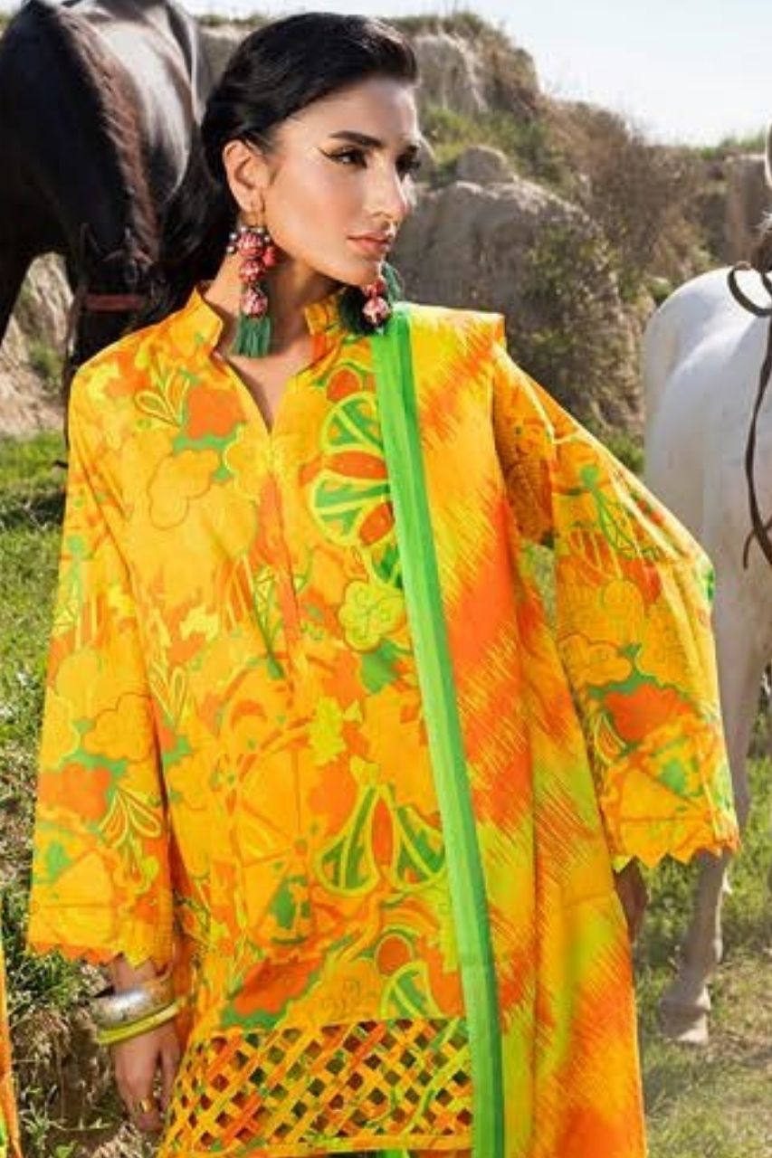Parizad By Paltar Digital Printed Lawn 3PC – DawoodDesigner